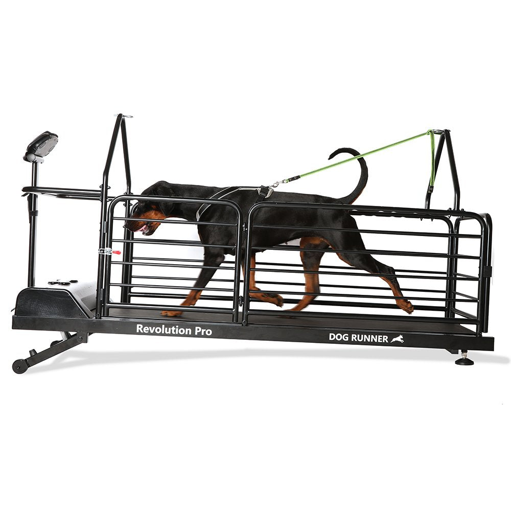 Dog Runner Treadmills – Pro K9 Supplies